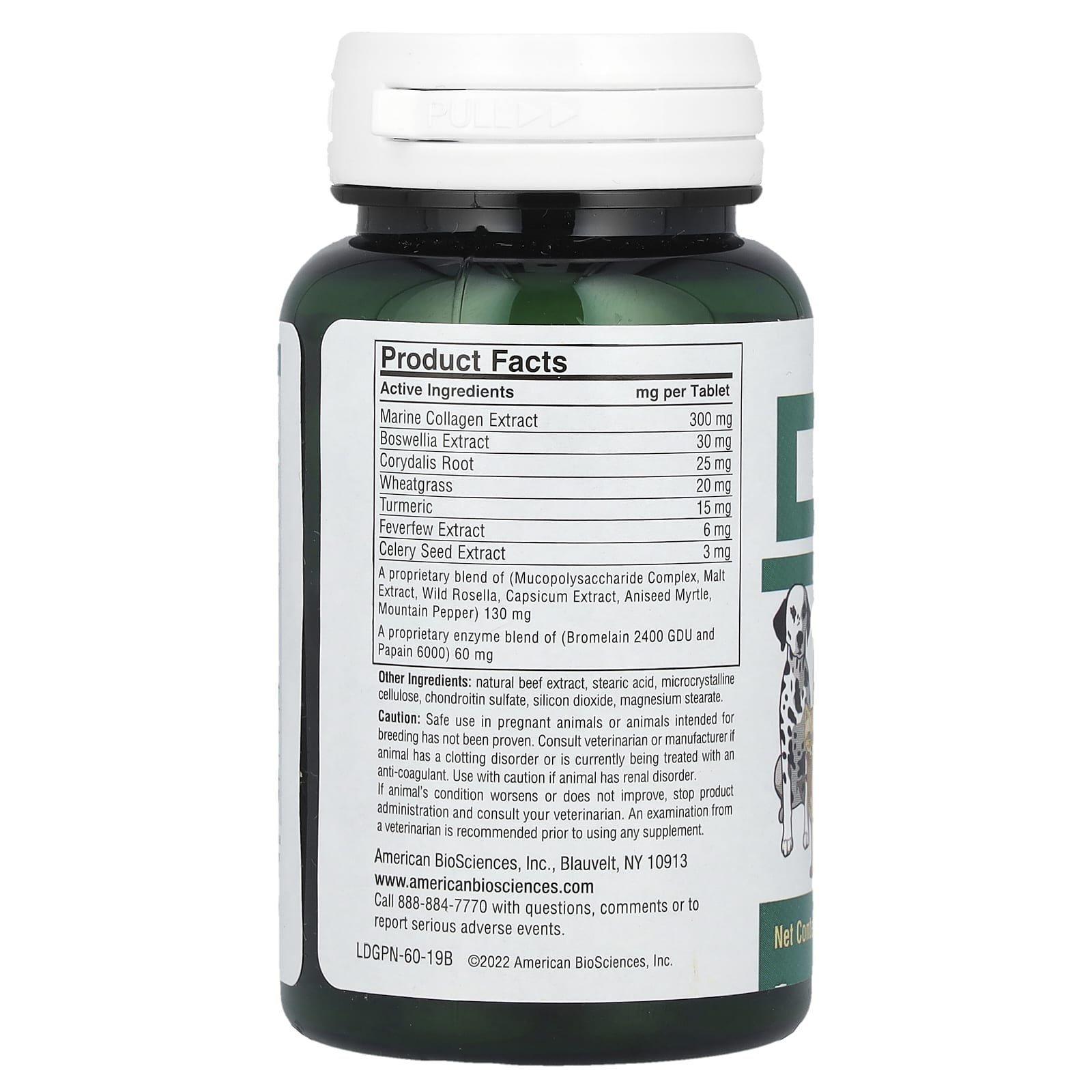 American Biosciences, DGP®, 60 Fast Acting Chewable Tablets