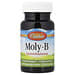 Carlson, Moly-B™（モリーB）、植物性タブレット100粒（1粒あたり500mcg）