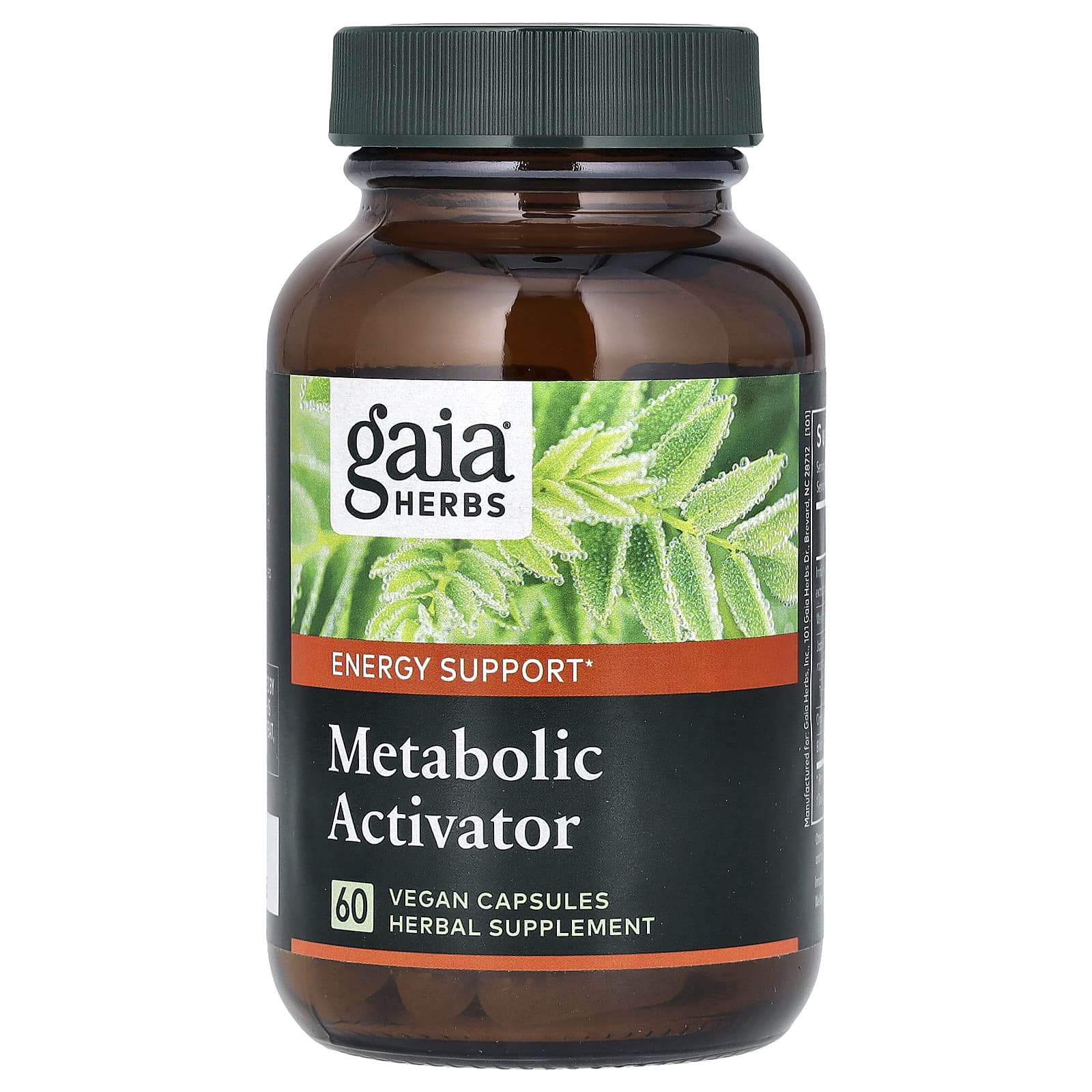 Gaia Herbs, Metabolic Activator, 60 Vegan Capsules