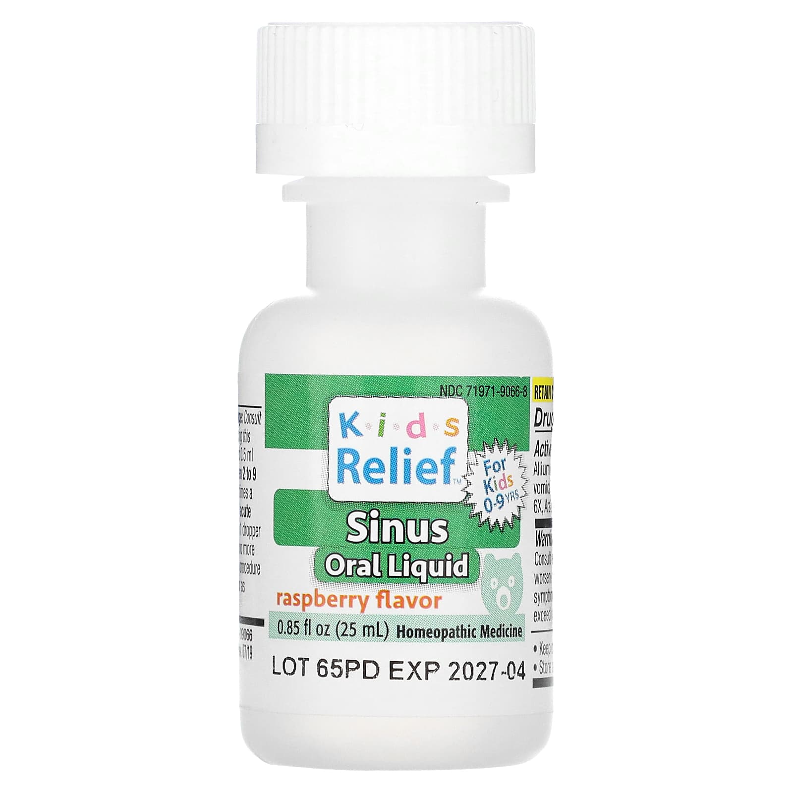 Homeolab USA, Kids Relief, Sinus Oral Liquid, For Kids 0-9 Yrs ...