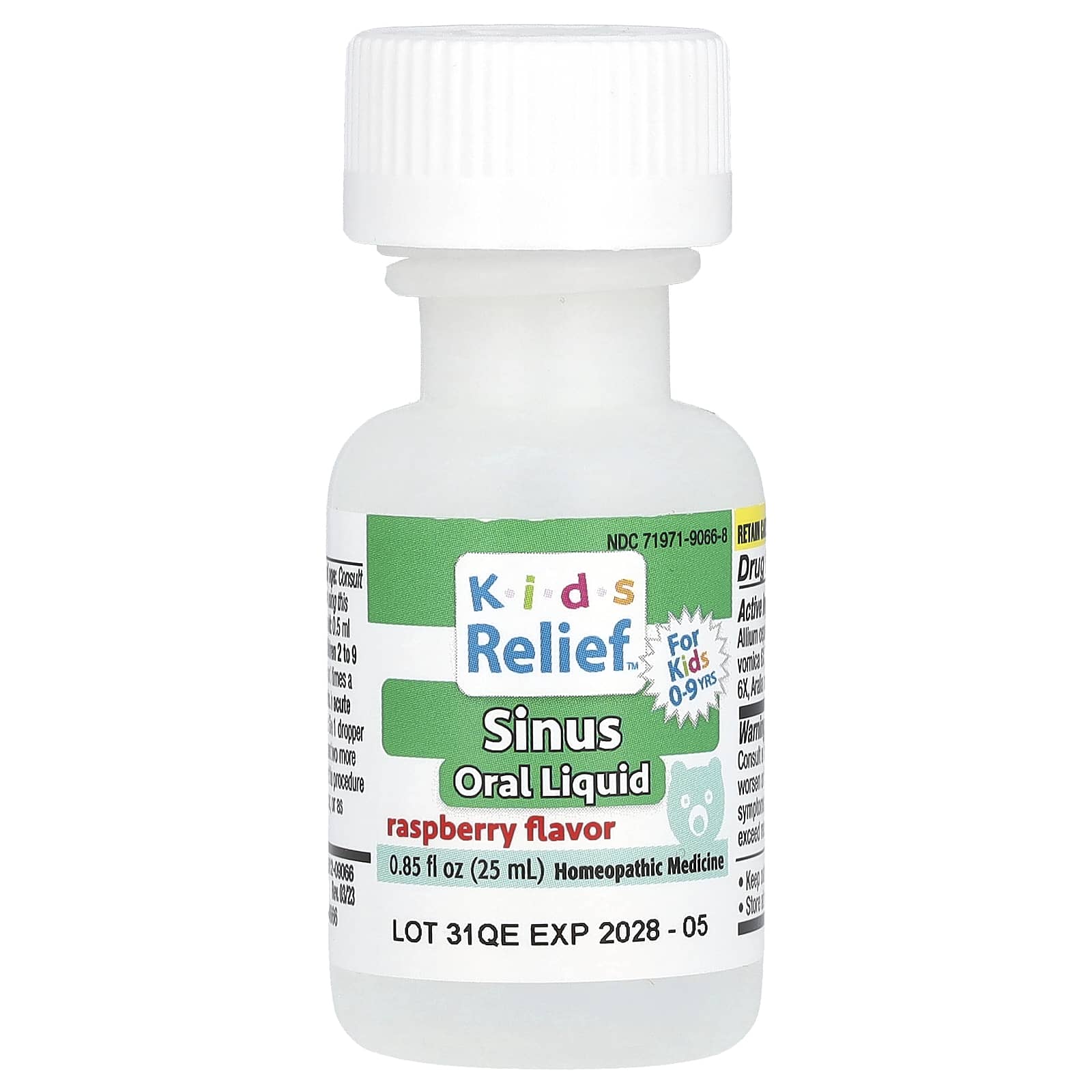 Homeolab USA, Kids Relief, Sinus Oral Liquid, For Kids 0-9 Yrs ...