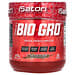 Isatori, Bio-Gro, Protein Synthesis Amplifier, Chocolate Ice Cream, 5. ...