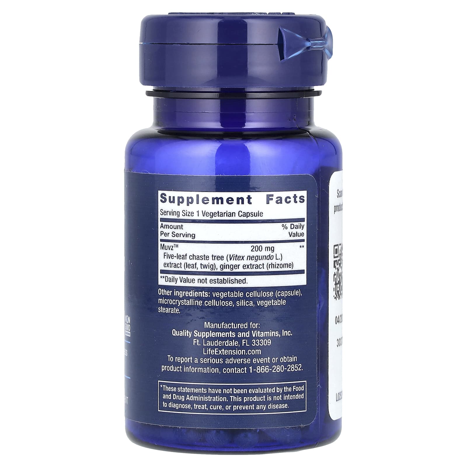 Life Extension, Lower Back Relief , 60 Vegetarian Capsules