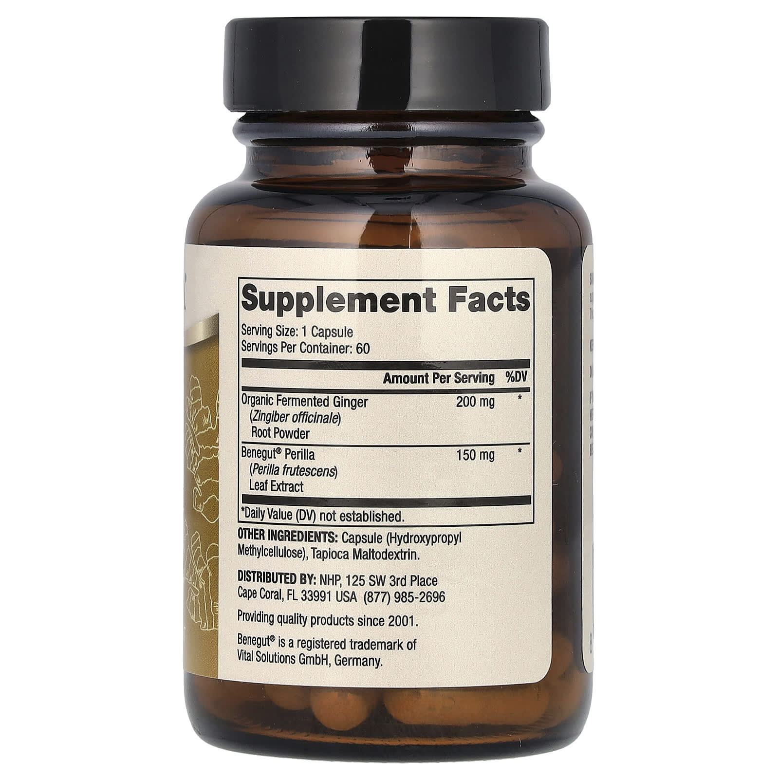 Dr. Mercola, Fermented Ginger With Benegut, 60 Capsules