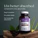 New Chapter, Fermented Zinc Complex, 90 Vegetarian Tablets