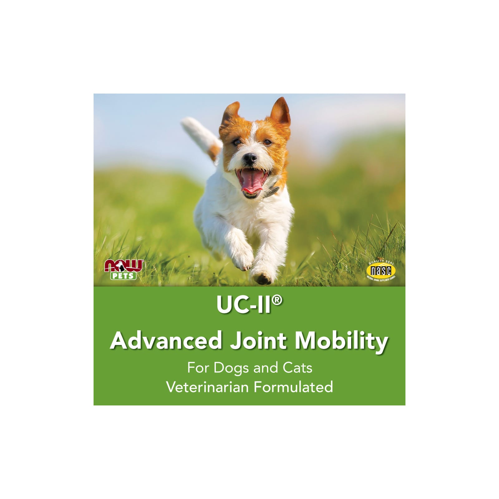 NOW Foods, Pets UC-II Advanced Joint Mobility for Dogs/Cats, 60 ...