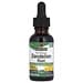 Nature's Answer, Fluid Extract, Dandelion Root, Alcohol Free, 2,000 mg ...