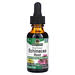 Nature's Answer, Echinacea Root, Fluid Extract, Alcohol-Free, 1,000 mg ...