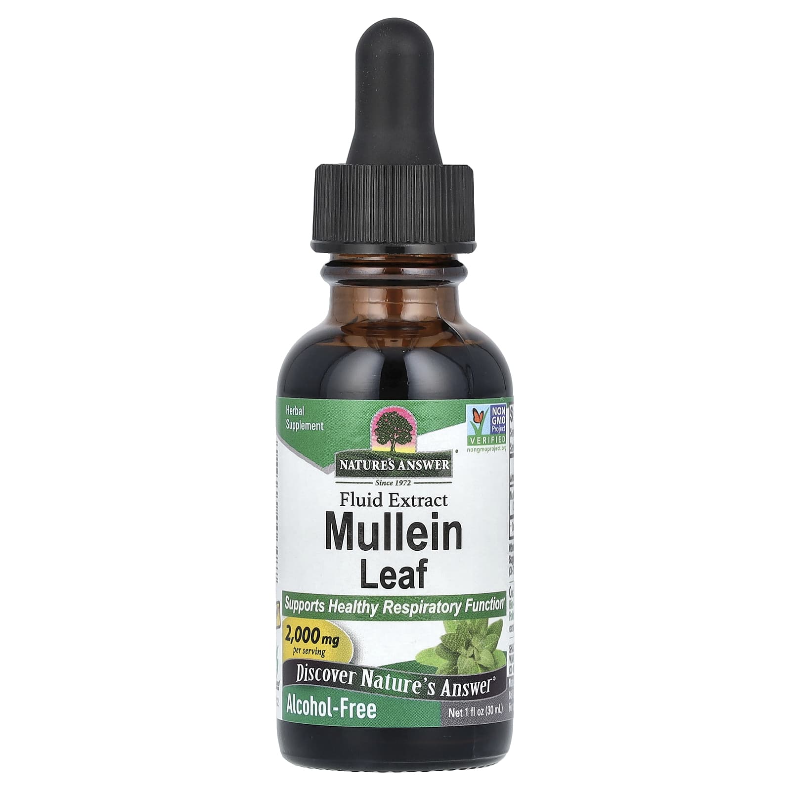 Nature's Answer, Mullein Leaf, Fluid Extract, Alcohol-Free , 2,000 mg ...