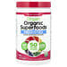 Orgain, Organic Superfoods™ + Probiotics Super Nutrition Powder, Berry ...