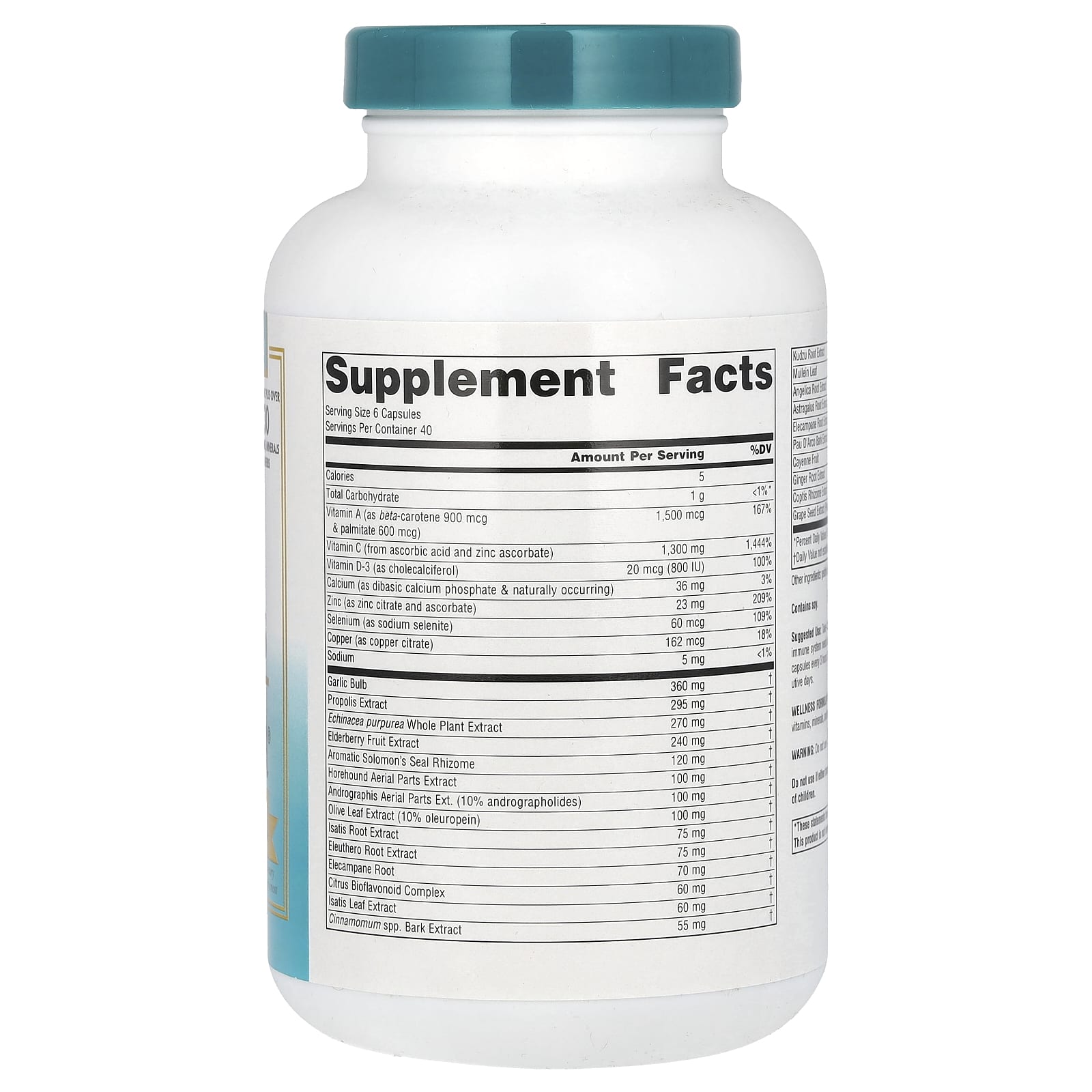 Source Naturals, Wellness Formula, Advanced Immune Support, 240 Capsules