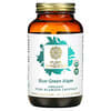 Pure Synergy, Blue-Green Algae Powder, 3.2 oz ( 90 g)